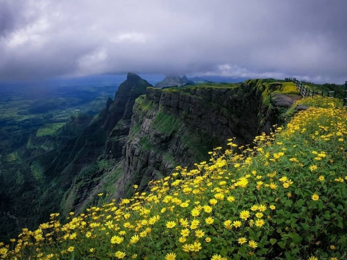 The hidden Kas Plateau of Maharashtra rivaling the Kas Plateau of ...