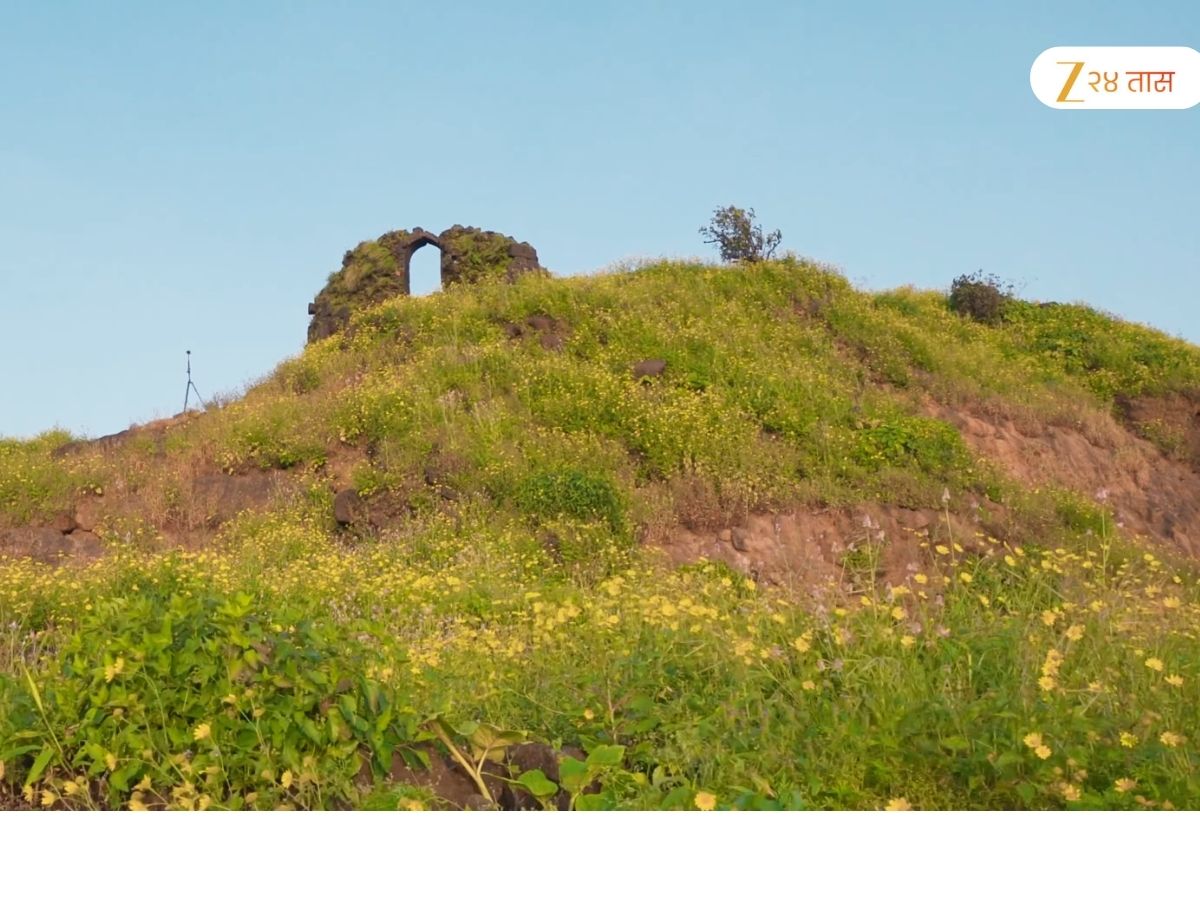 The hidden Kas Plateau of Maharashtra rivaling the Kas Plateau of ...