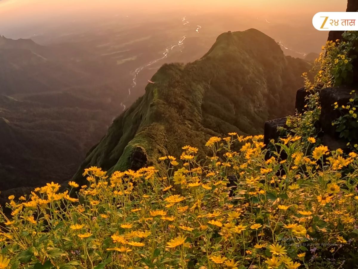 The hidden Kas Plateau of Maharashtra rivaling the Kas Plateau of ...