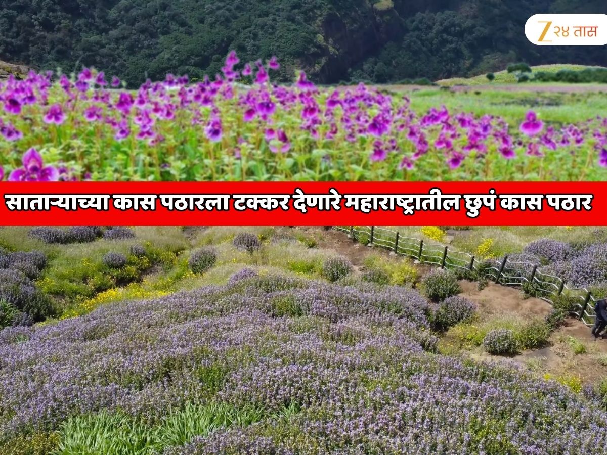 The hidden Kas Plateau of Maharashtra rivaling the Kas Plateau of ...