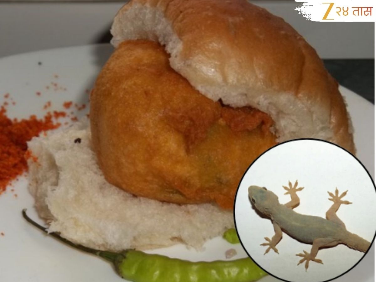 भयानक! हे काय वडापावमध्ये आढळली पाल, प्रसिद्ध हॉटेलमधील धक्कादायक घटना ...