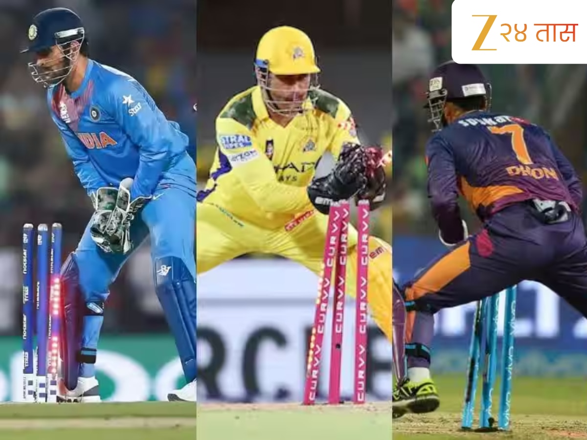 Do you know What we call Stump in marathi GK News | GK News ...