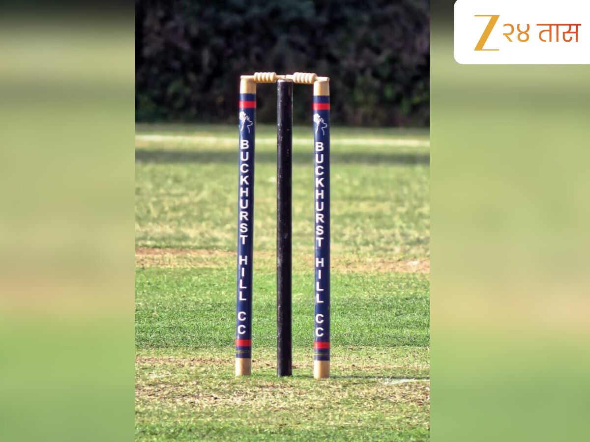 Do you know What we call Stump in marathi GK News | GK News ...