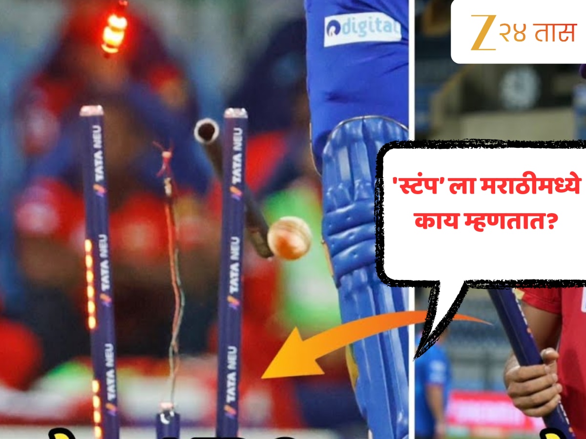 Do you know What we call Stump in marathi GK News | GK News ...