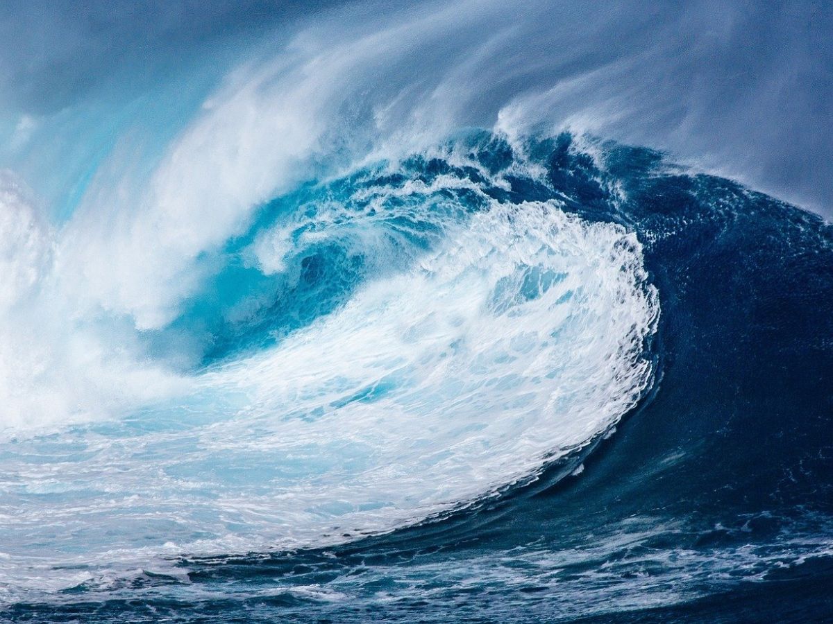 science news 117 Million Year Old Giant Structures Discovered under the ...