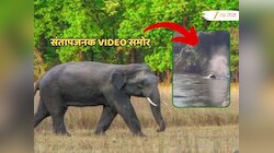 Omkar Hatti News in Marathi, Omkar Hatti Breaking News, Latest News ...