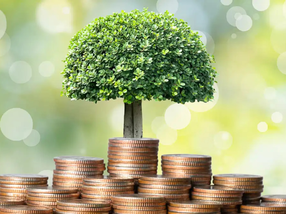 SIP Closure million SIPs have been closed why investors are stopping ...