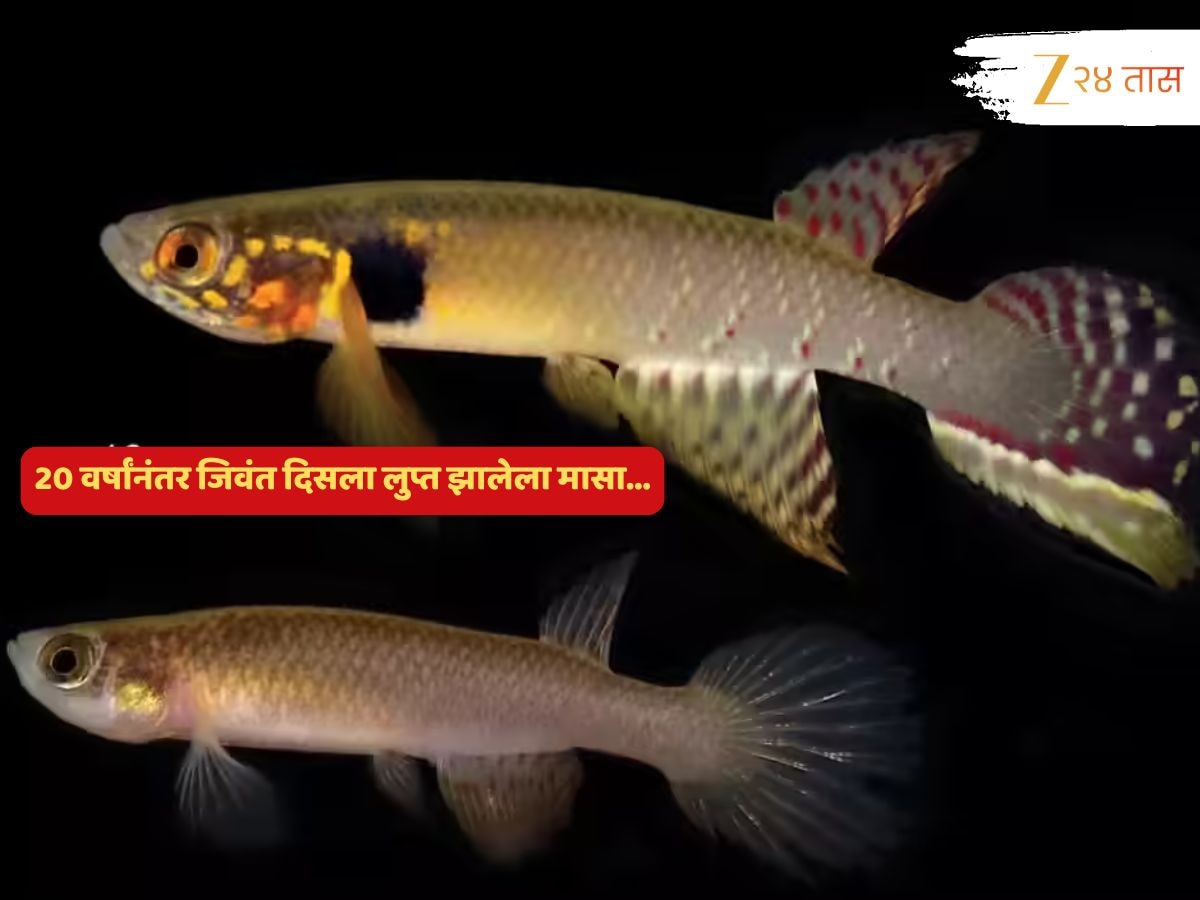 viral news Moema Claudia fish believed to be extinct seen after 20 ...