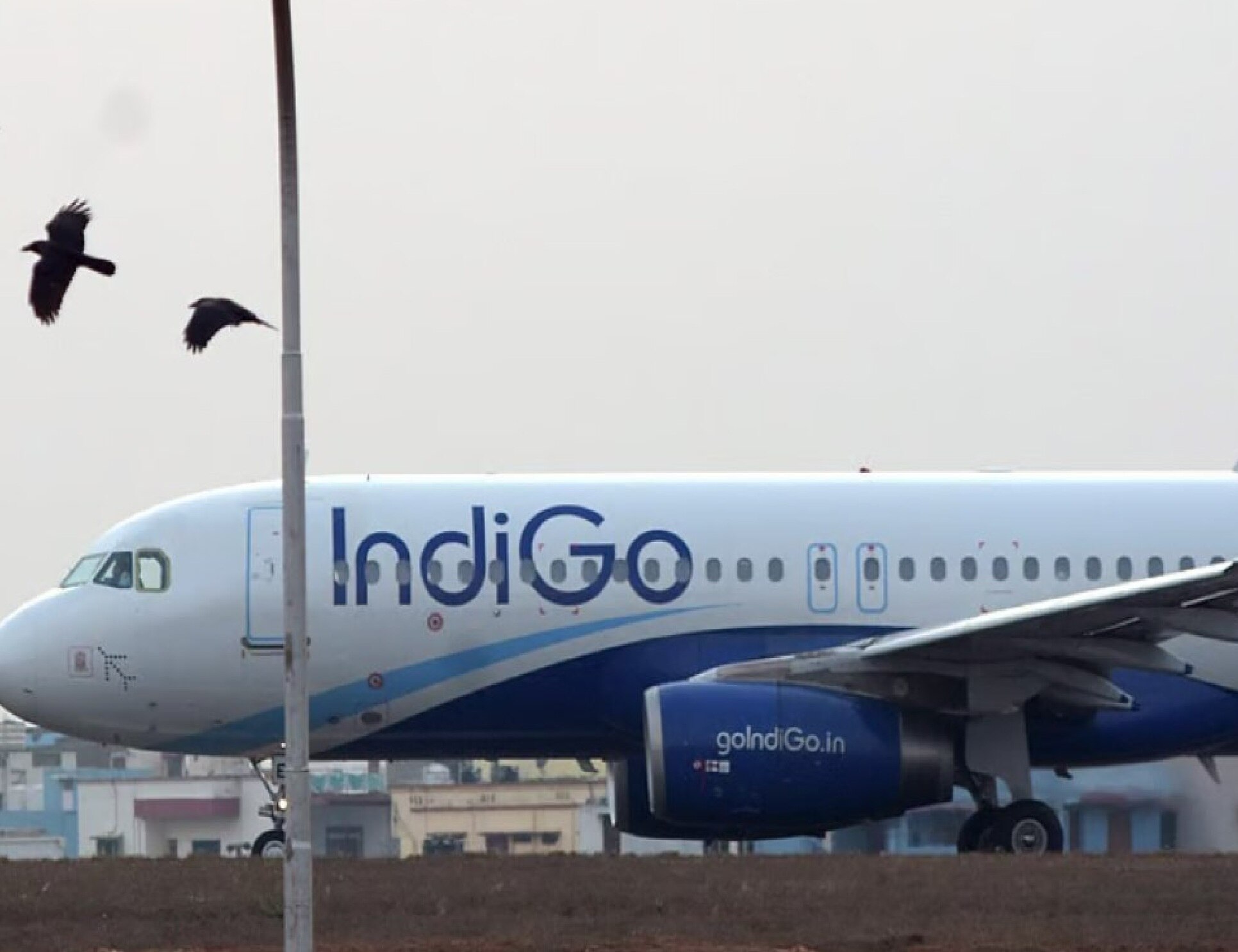explained IndiGo Flights Cancellation issue Reason everything you need ...