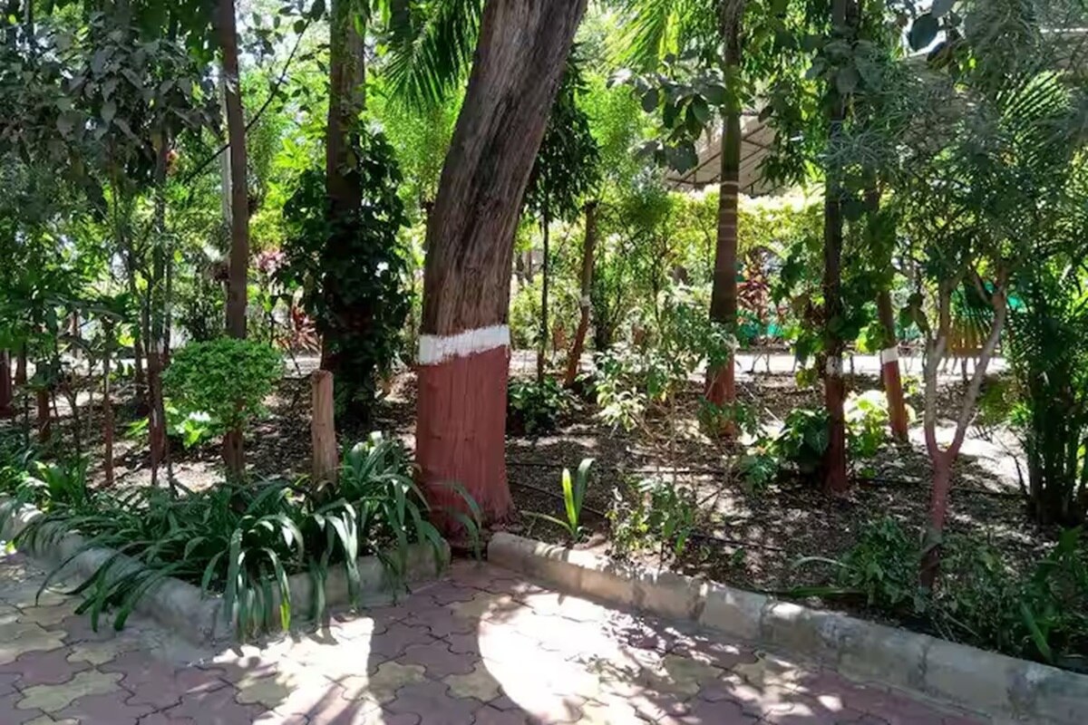 Tapovan tree cutting government got 15000 trees from hyderabad ...