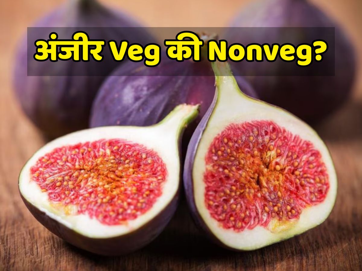 anjeer veg or non veg know this things before eating anjeer | अंजीर Veg ...