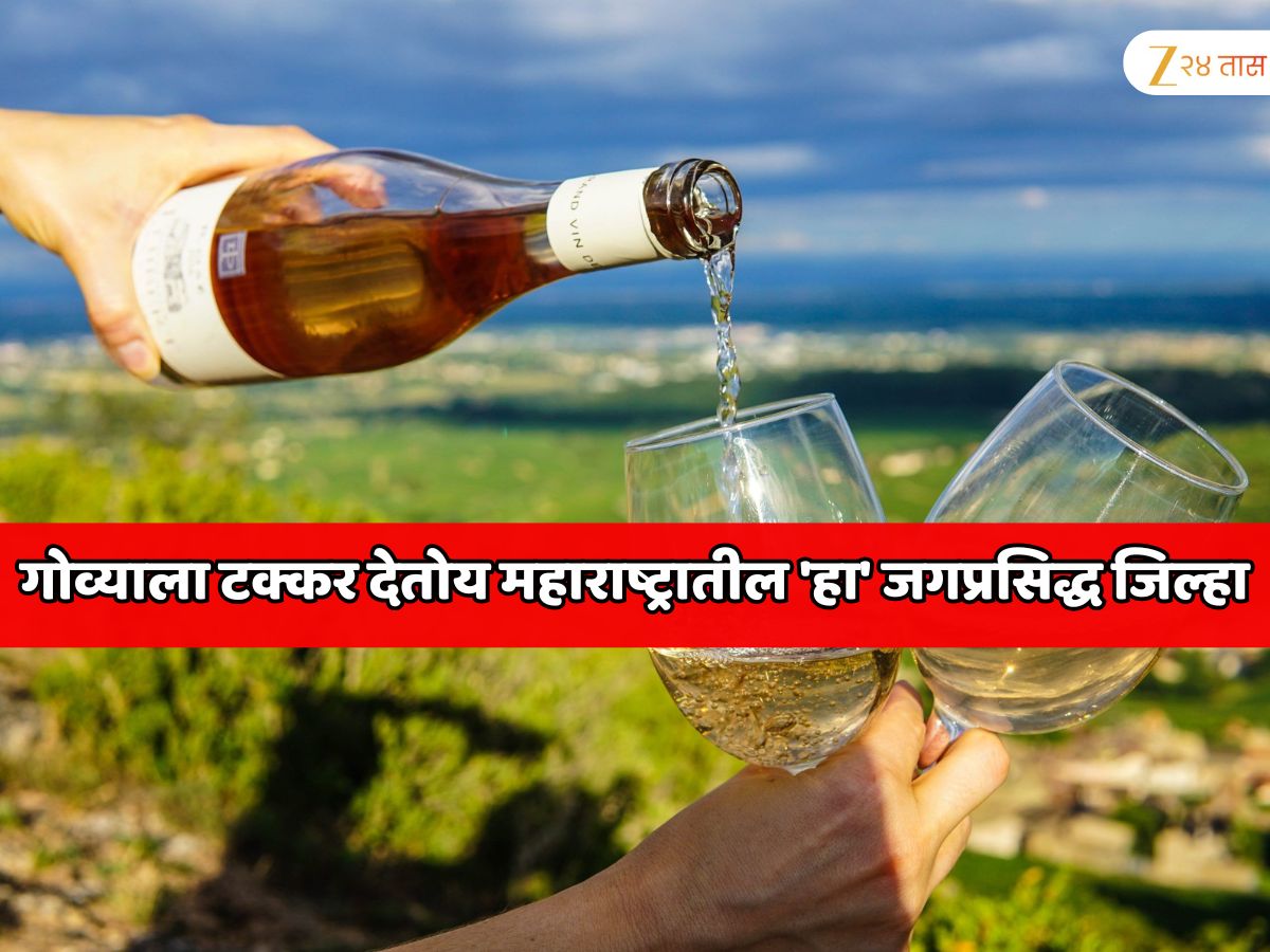 Nashik district of Maharashtra is competing with Goa Nashik Wine ...