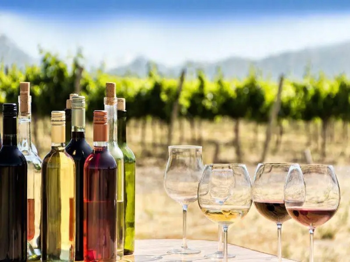 Nashik district of Maharashtra is competing with Goa Nashik Wine ...