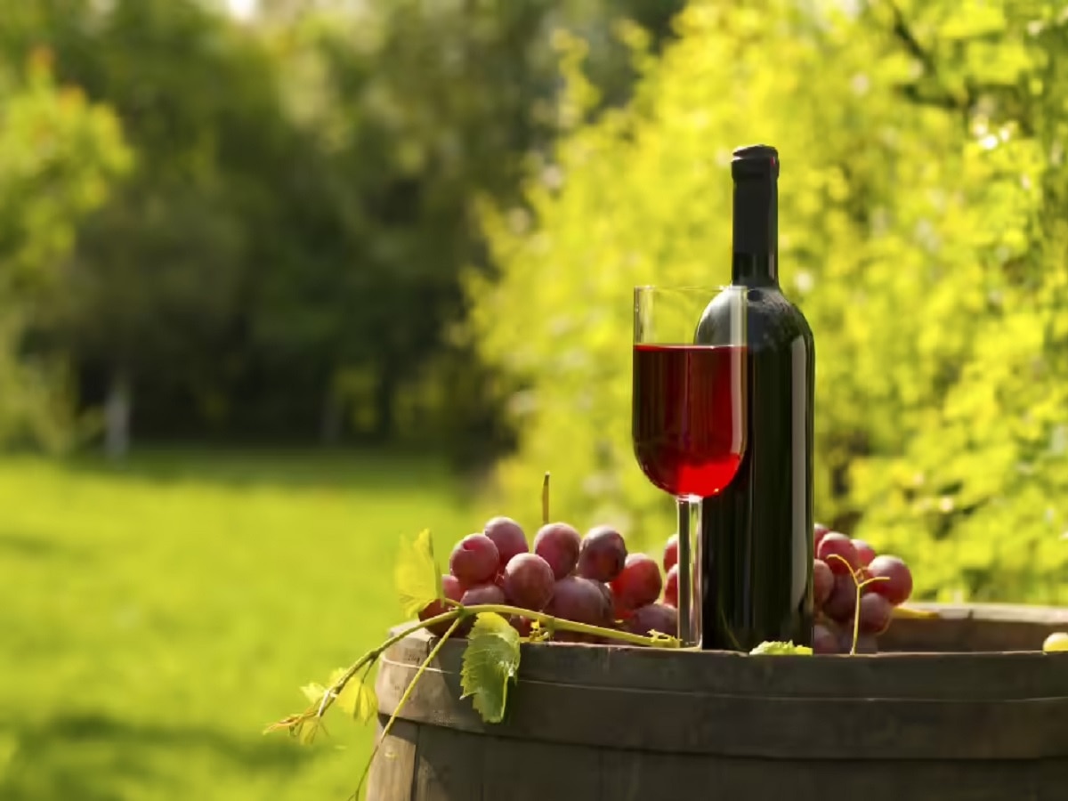 Nashik district of Maharashtra is competing with Goa Nashik Wine ...