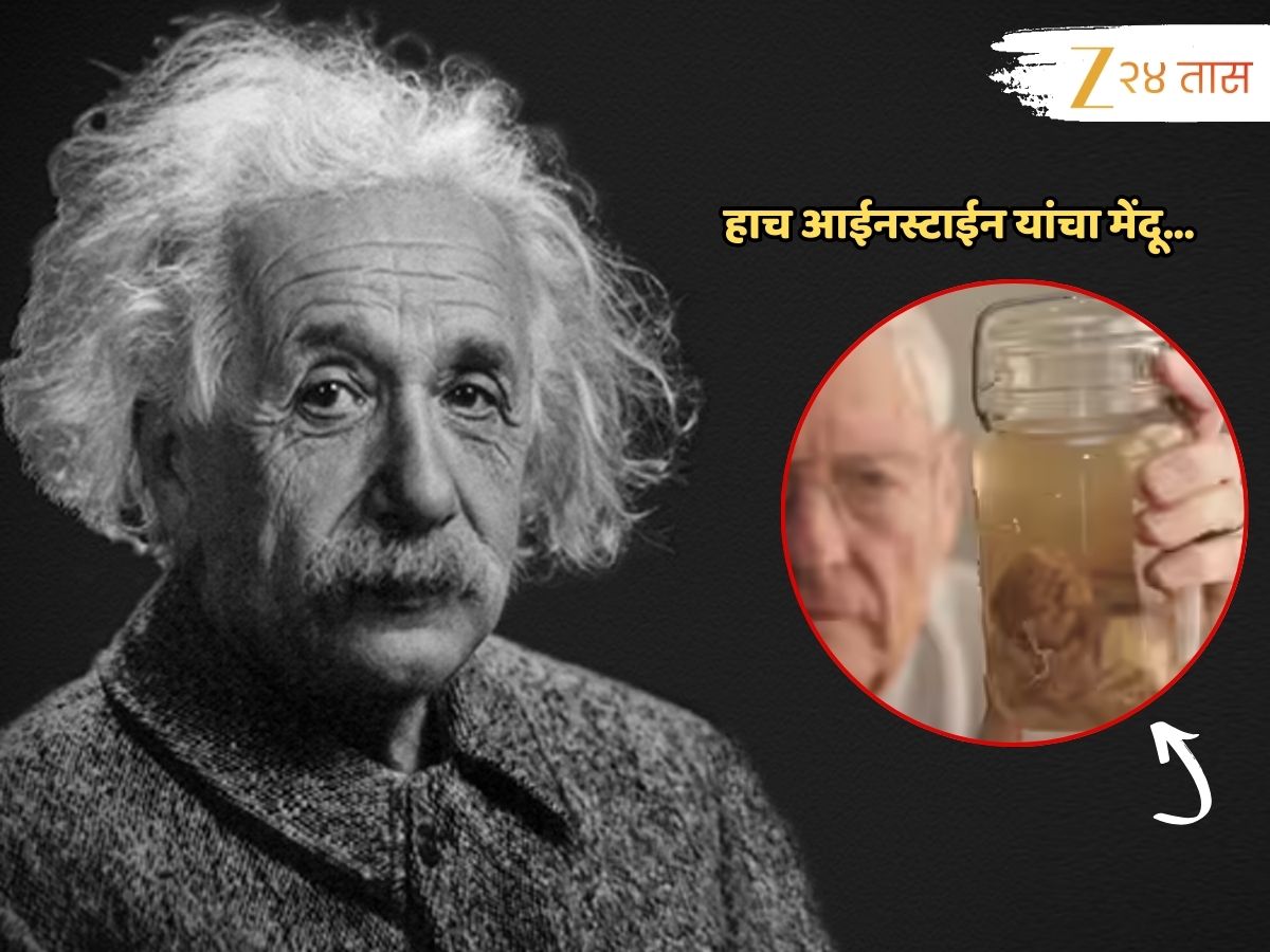 Science news shocking revelations Albert Einstein brain was stolen by ...