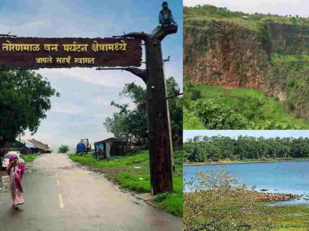 स्थानिक रोजगार वाढणार | News in Marathi