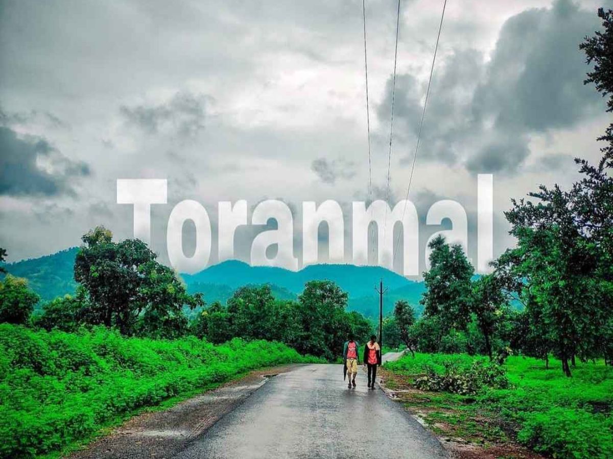 स्थानिक रोजगार वाढणार | News in Marathi