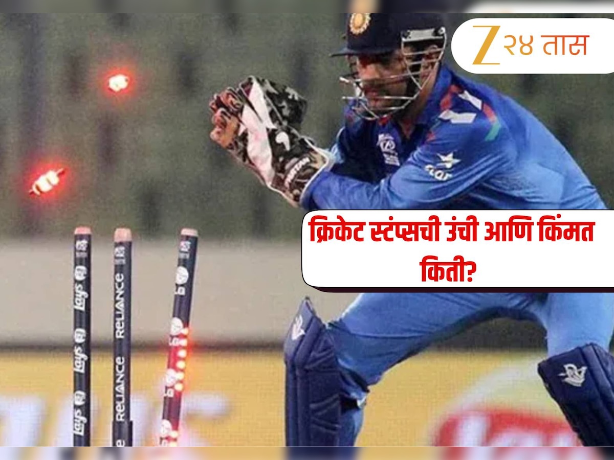 What is the length and price of cricket stumps? Find out when the ICC ...