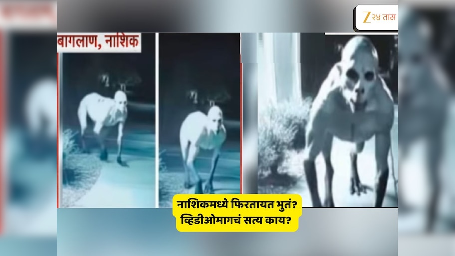 nashik news fact check viral video of a ghost creates tension in locals ...