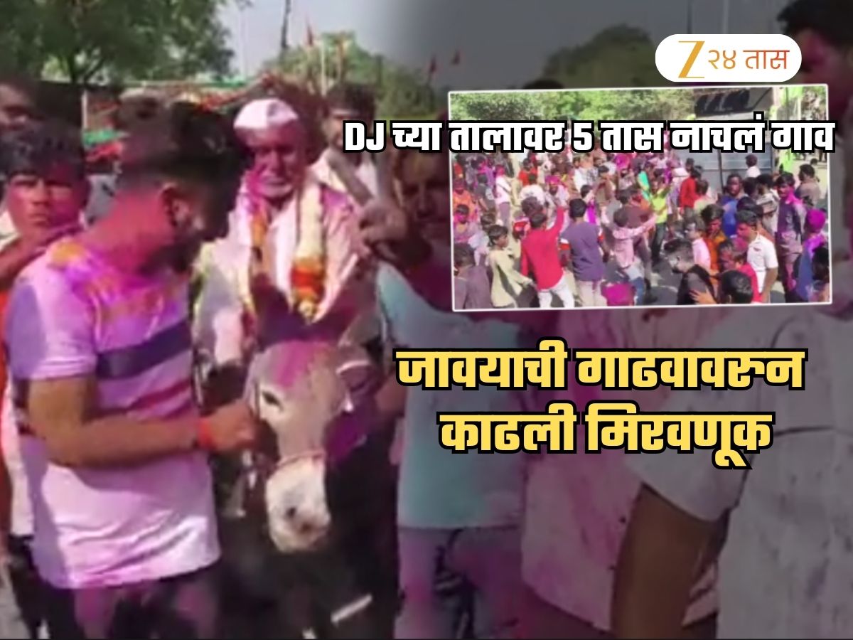 unique holi celebration in beed javai gadahav miravnuk son in law ...