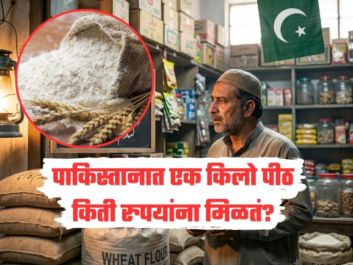 pakistan 1kg wheat flour price know daily essentials things oil sugar ...