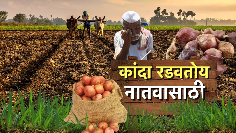 Farmers Outrage Over Onion Procurement Decision What Exactly Is the ...