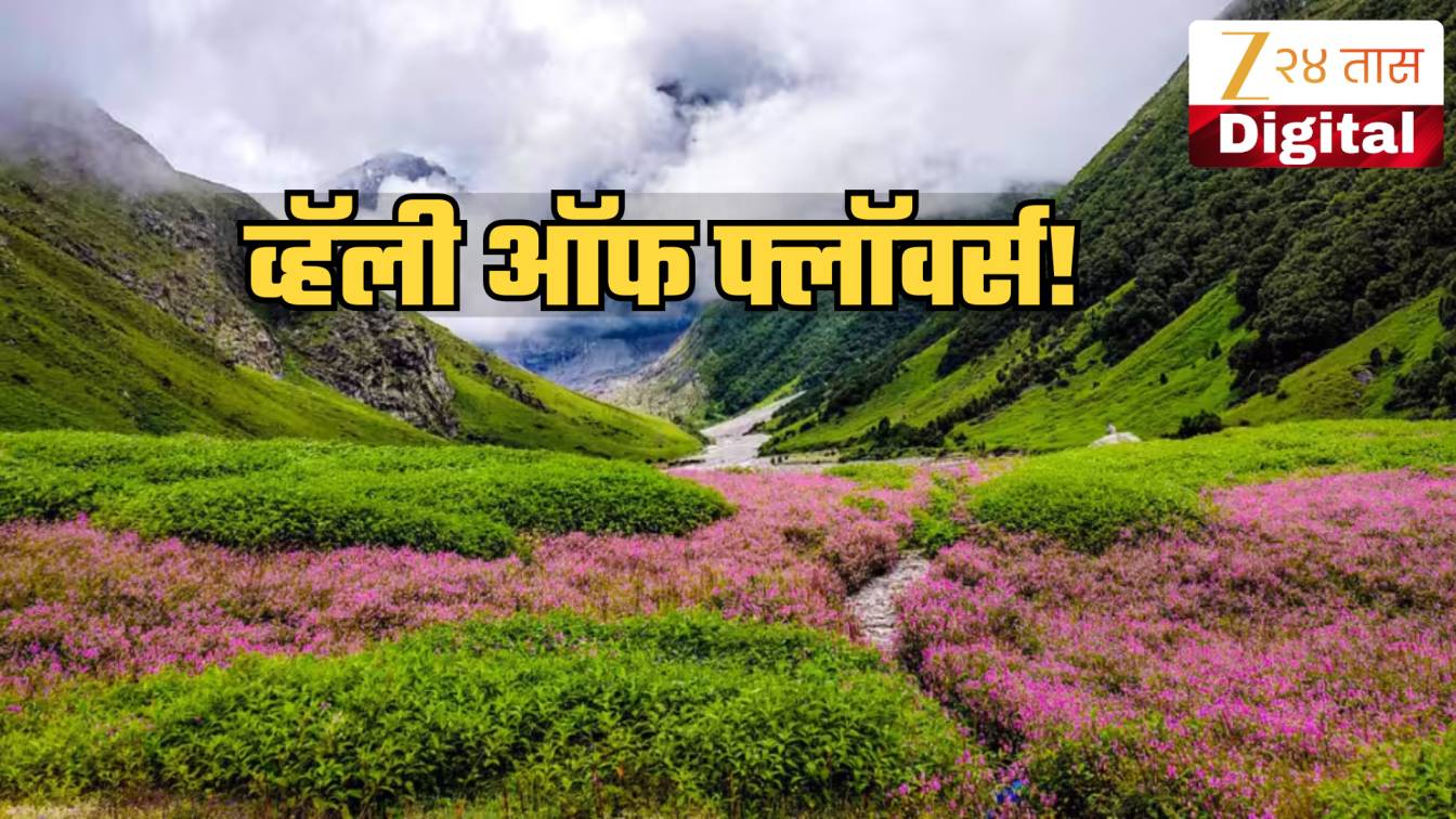 Valley Of Flowers 2026 Opening Date Announced Know Best Time and way ...