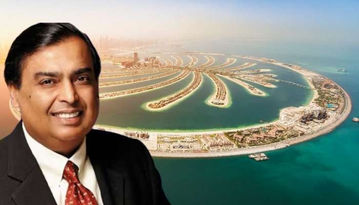 Mukesh Ambani palm jumeirah News in Marathi, Latest Mukesh Ambani palm ...